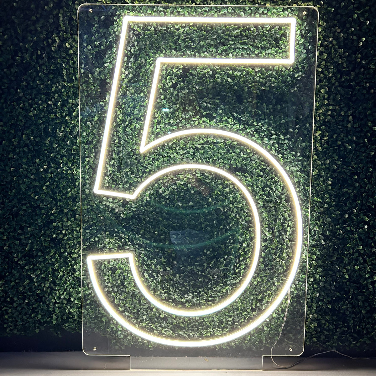Number 5 Neon Sign Rental – Westcoast Balloons